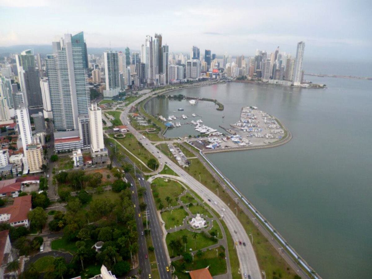 Águila Harpía 'Panamá' busca pareja